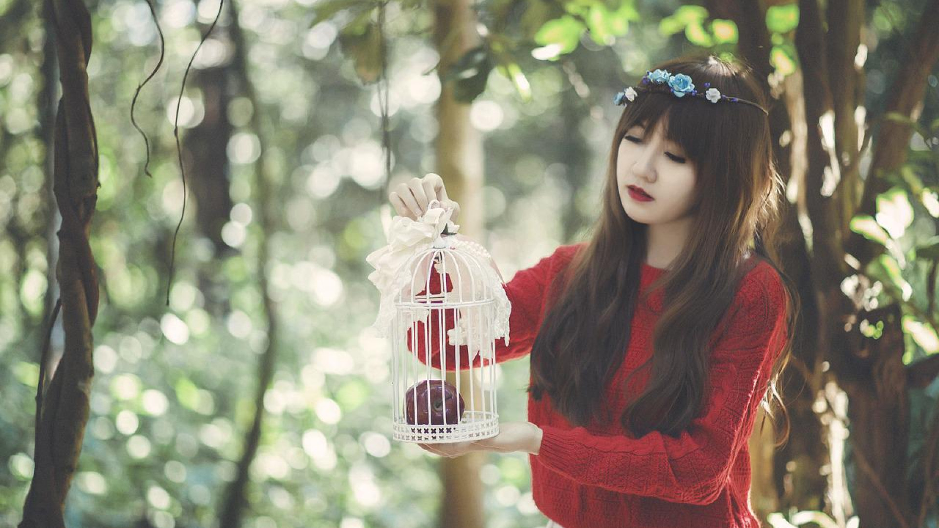 Comment choisir une cage à oiseaux pour jardin ? - GoodHabitat